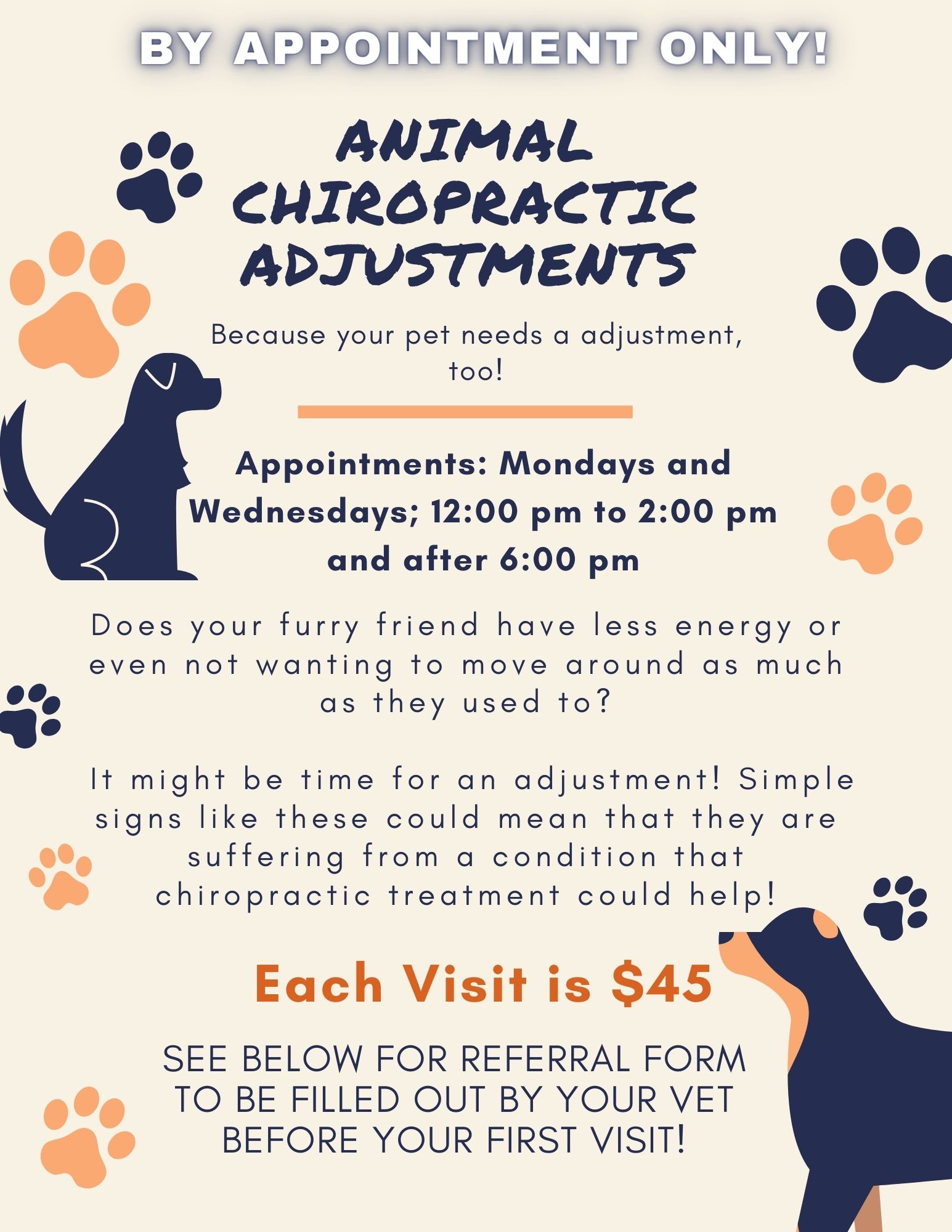 Animal Chiropractic | Evans Chiropractic